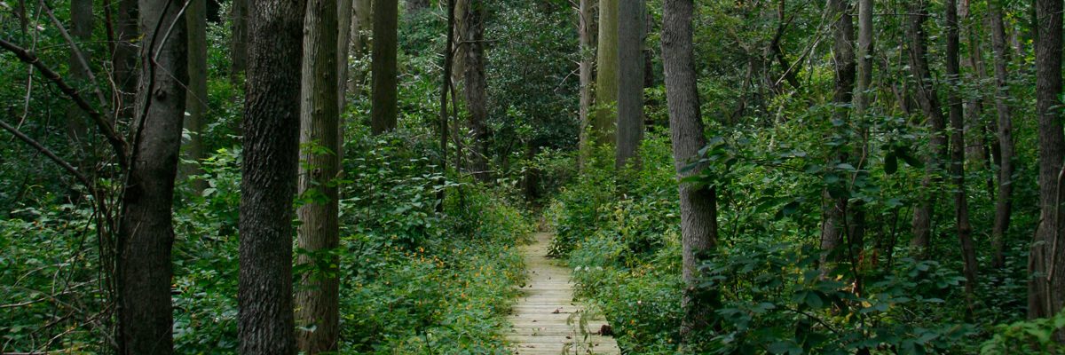 Nature Centers and Nature Preserves - Delaware Nature Society
