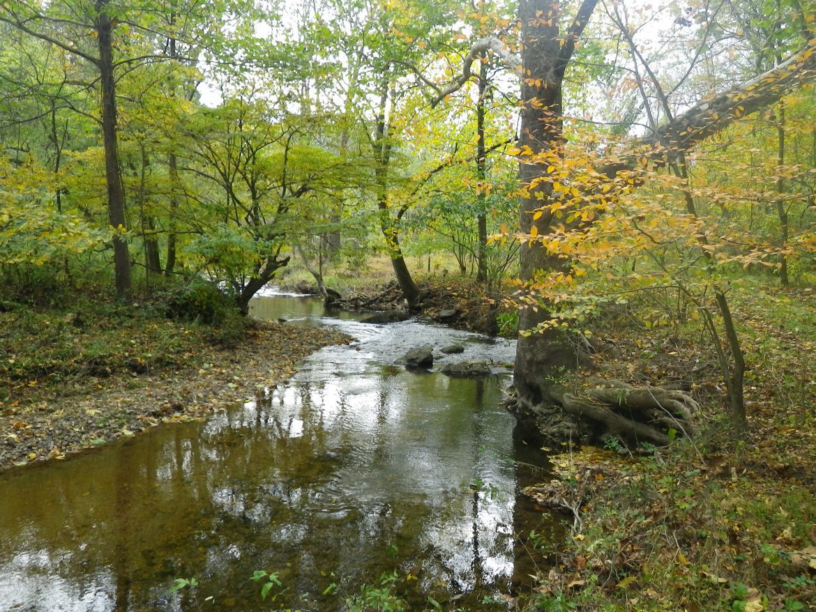 Managing Land - Biodiversity, Water - Delaware Nature Society