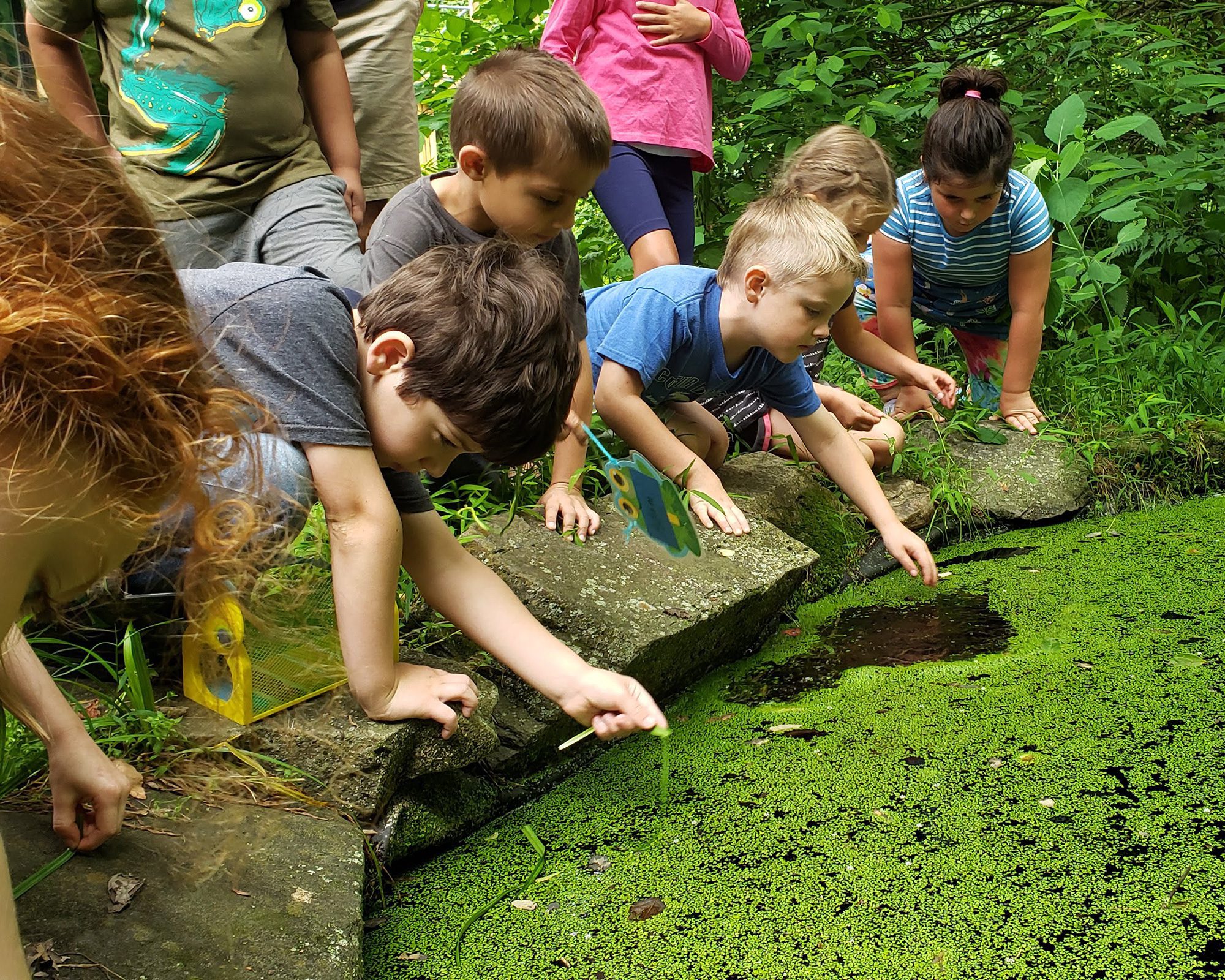 News, Stories & Press Releases - Delaware Nature Society