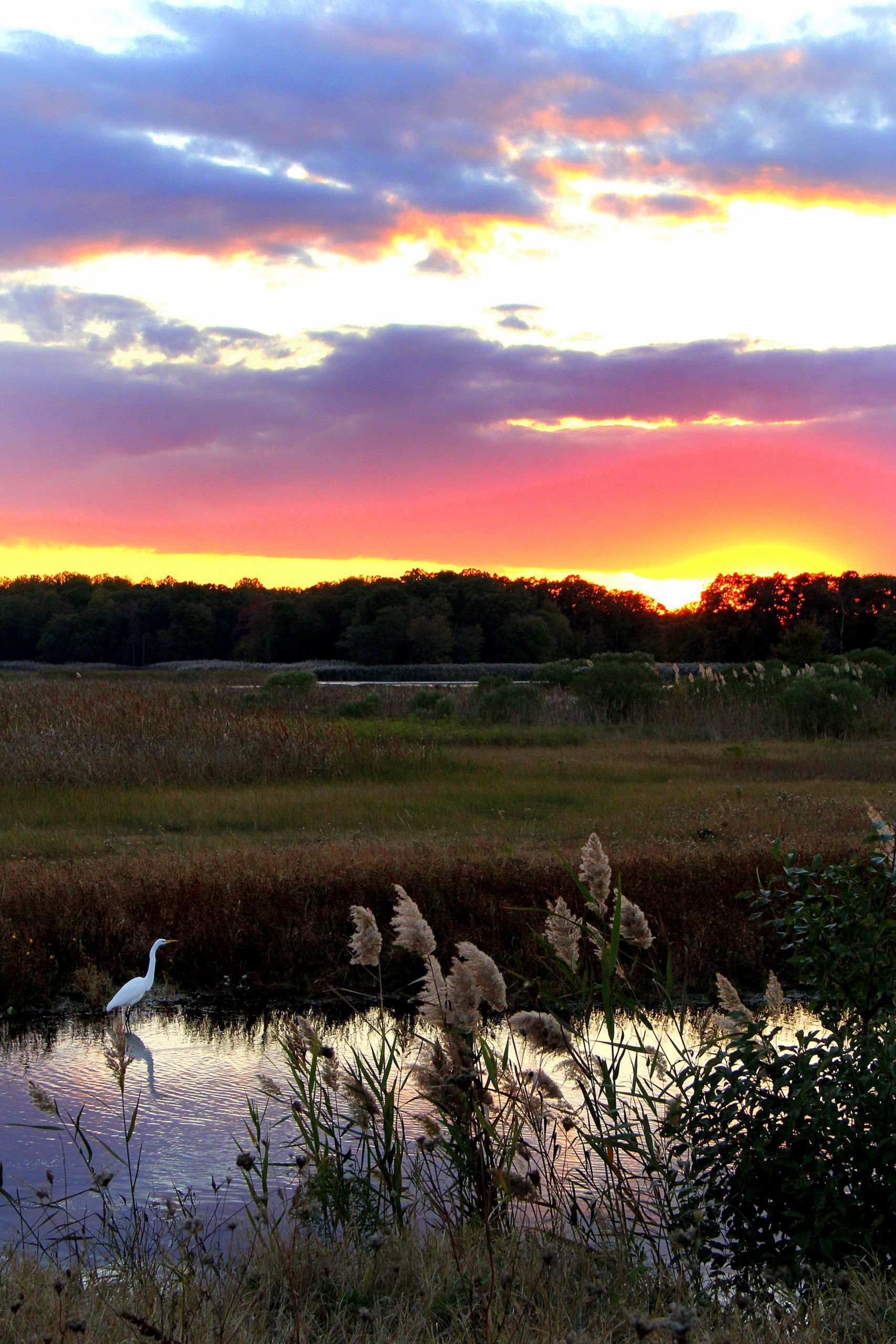 Our Advocacy in Action - Delaware Nature Society