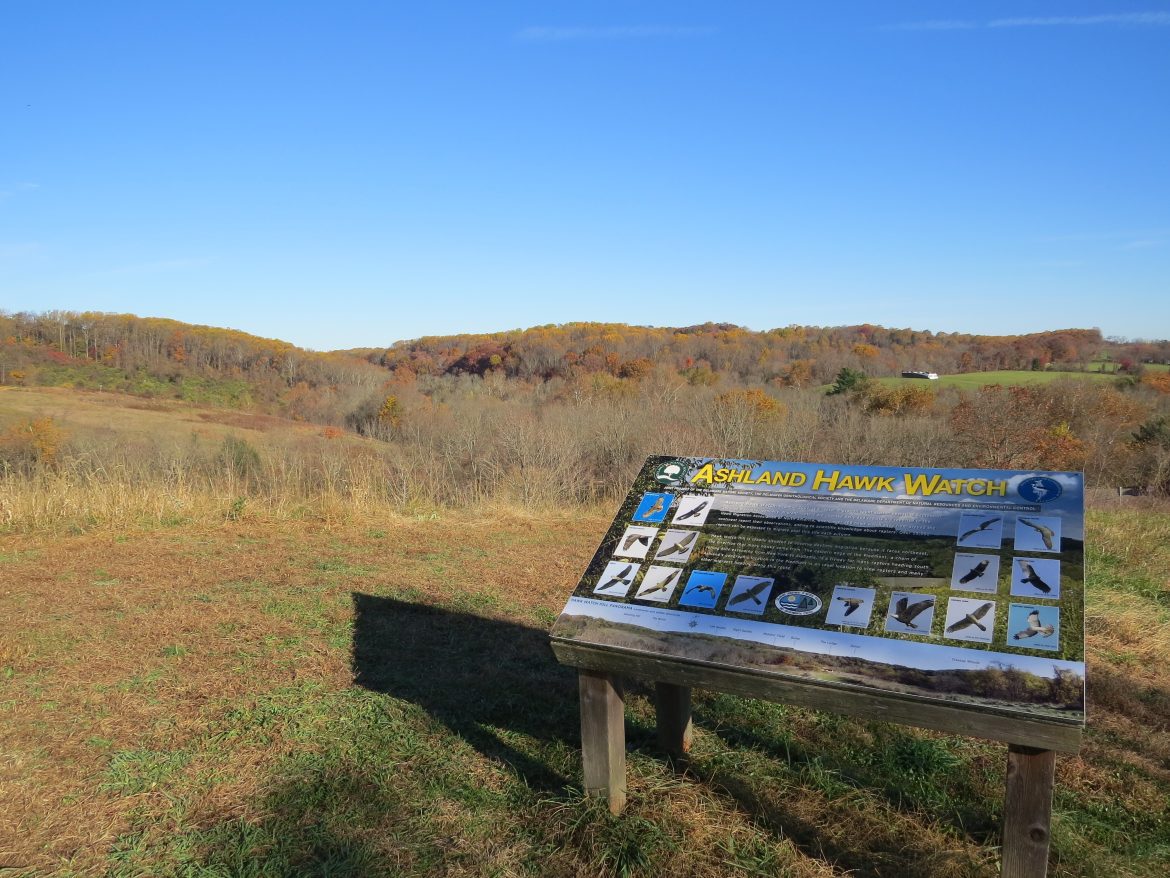 18th Annual Ashland Hawk Watch - Delaware Nature Society