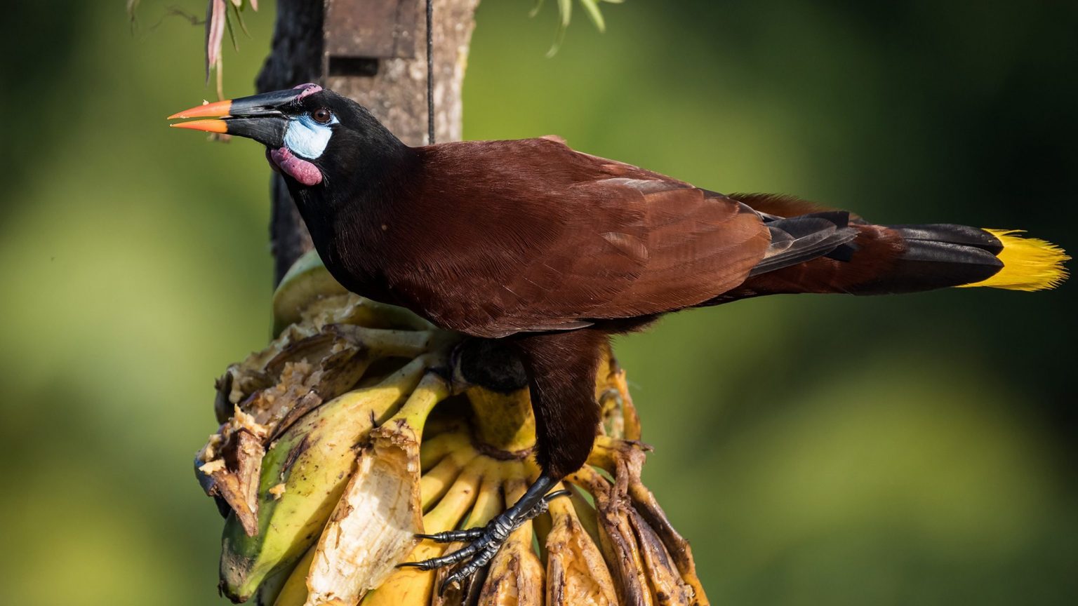 Nature Education Activities - Delaware Nature Society