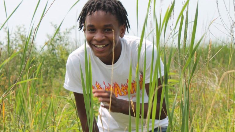 Nature Education Activities - Delaware Nature Society