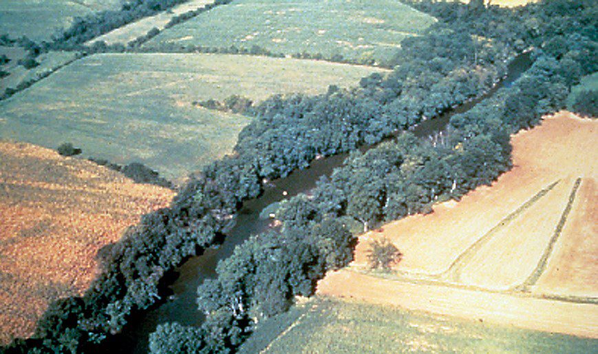 Rooting for our Waterways - Delaware Nature Society