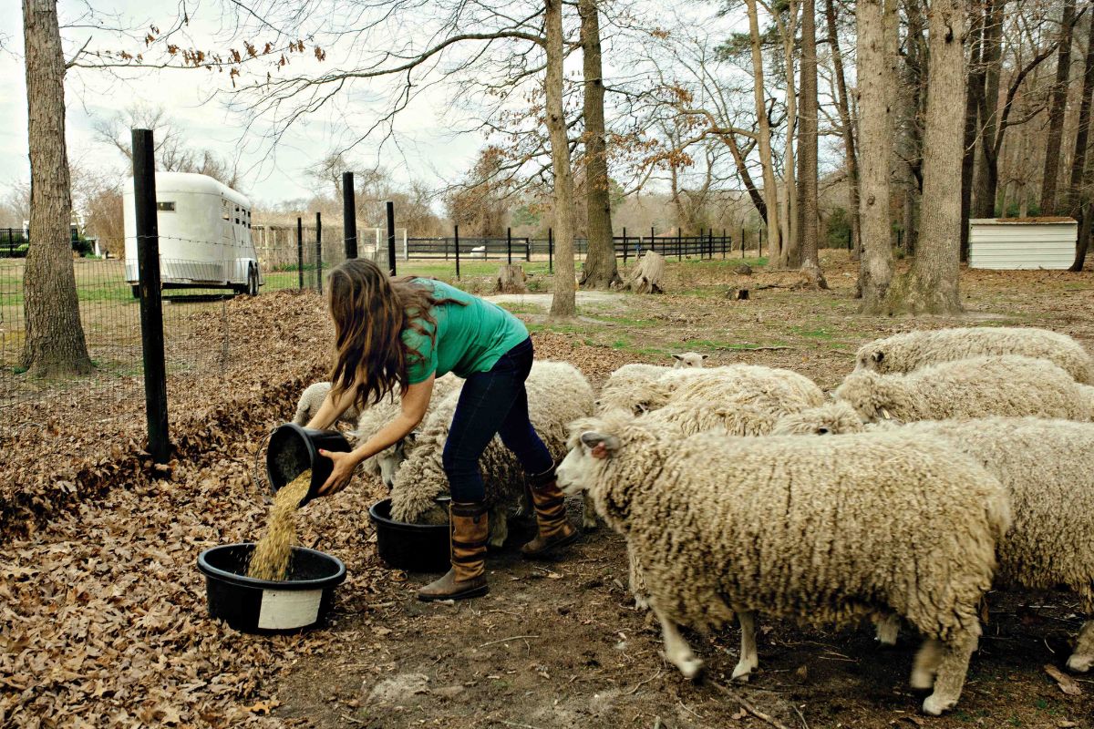 Delaware’s Small Farms Innovate With the Changing Times - Delaware ...